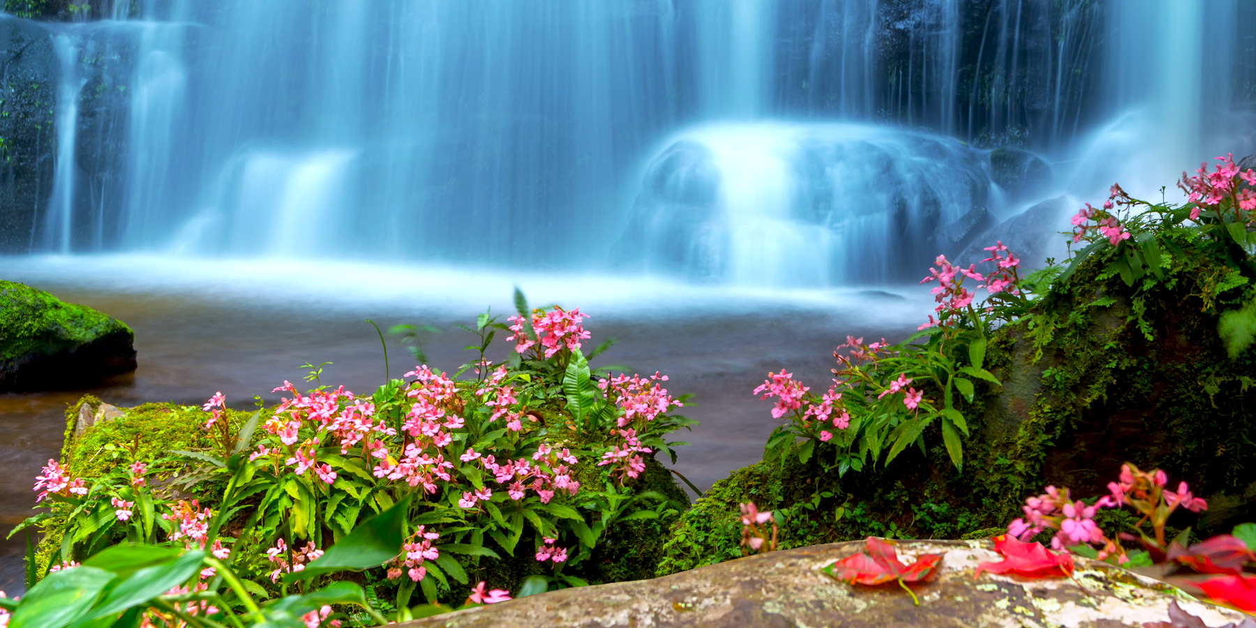 Natural Spring Water - New York Spring Water